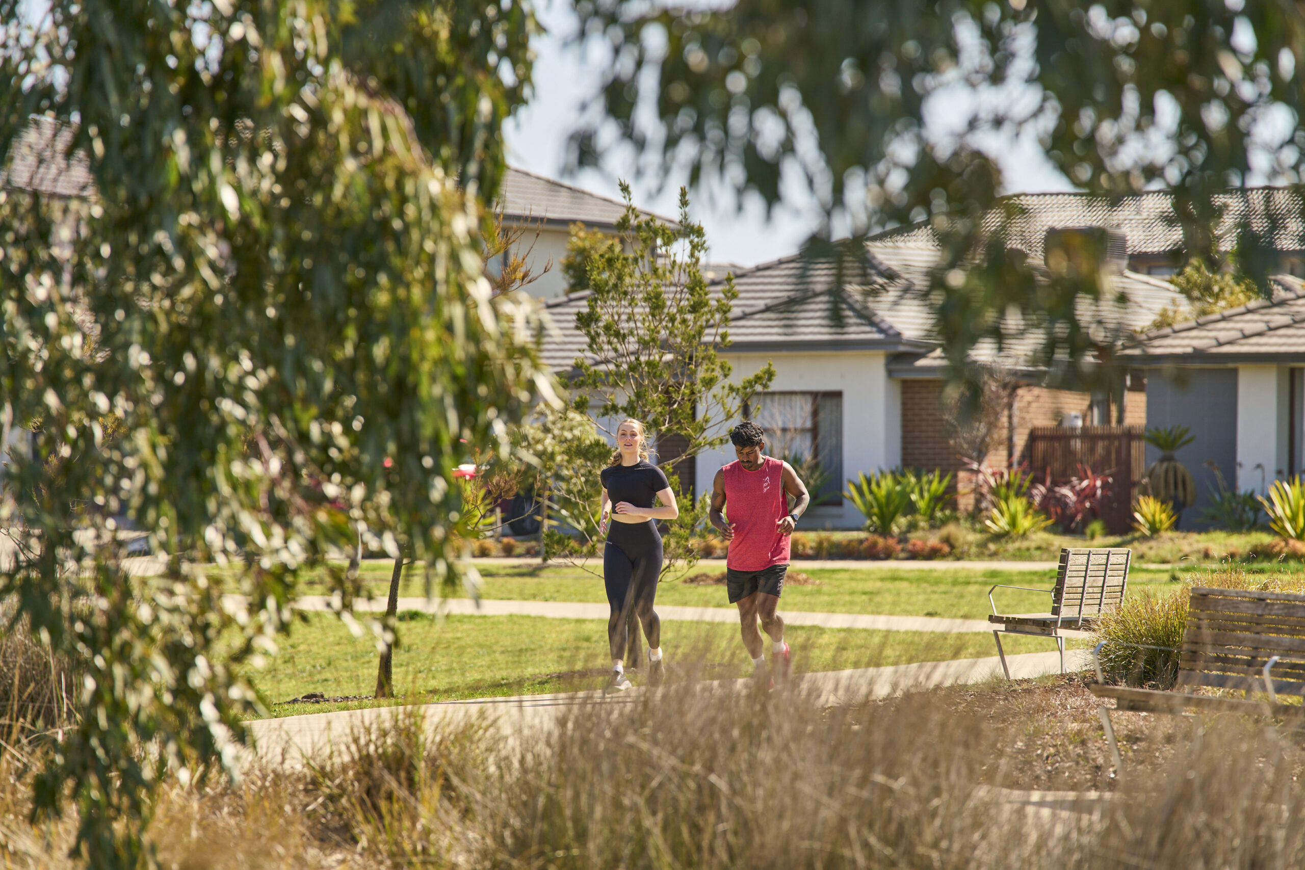 Jubilee - Lotus Living