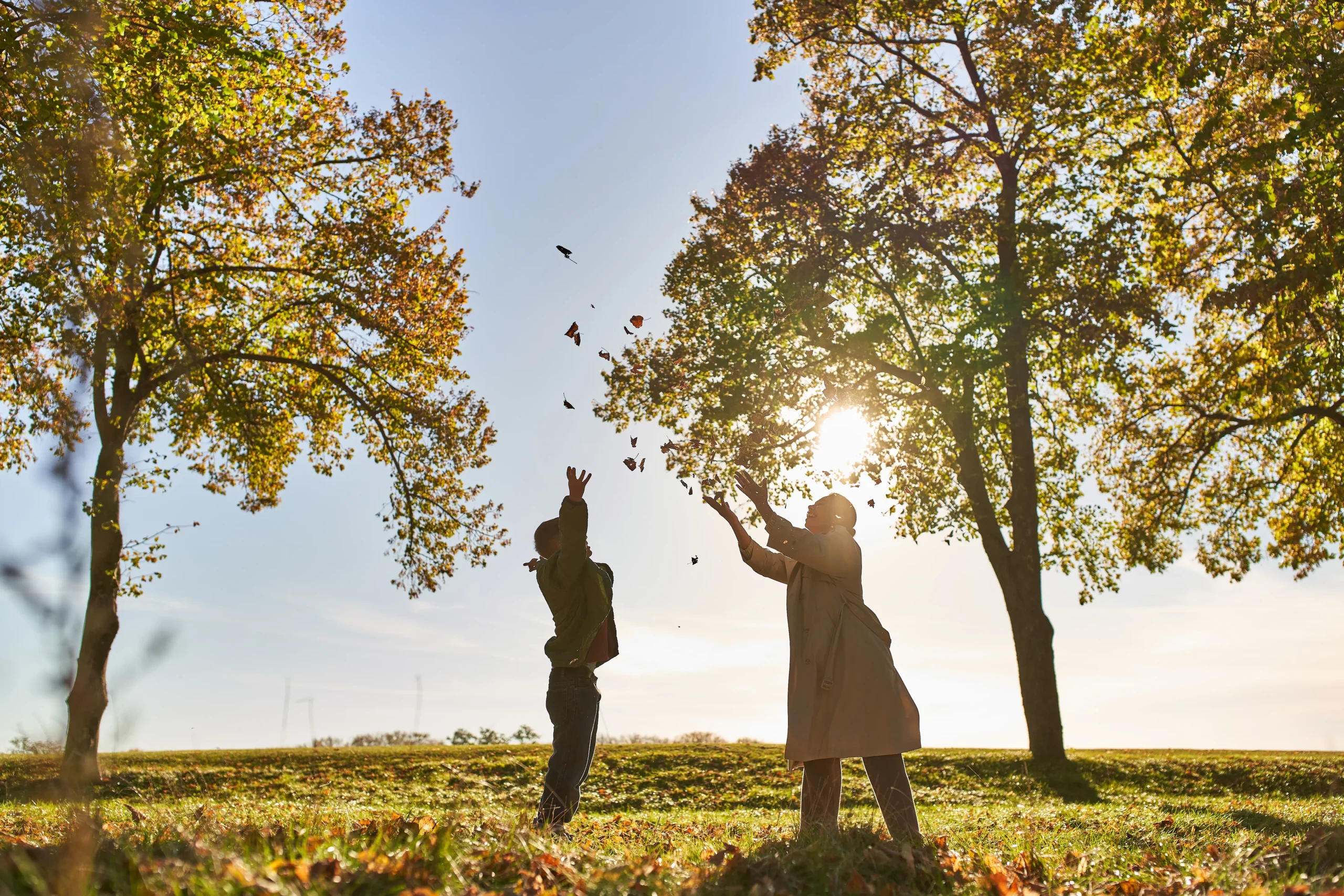 Oakwood Estate - Lotus Living